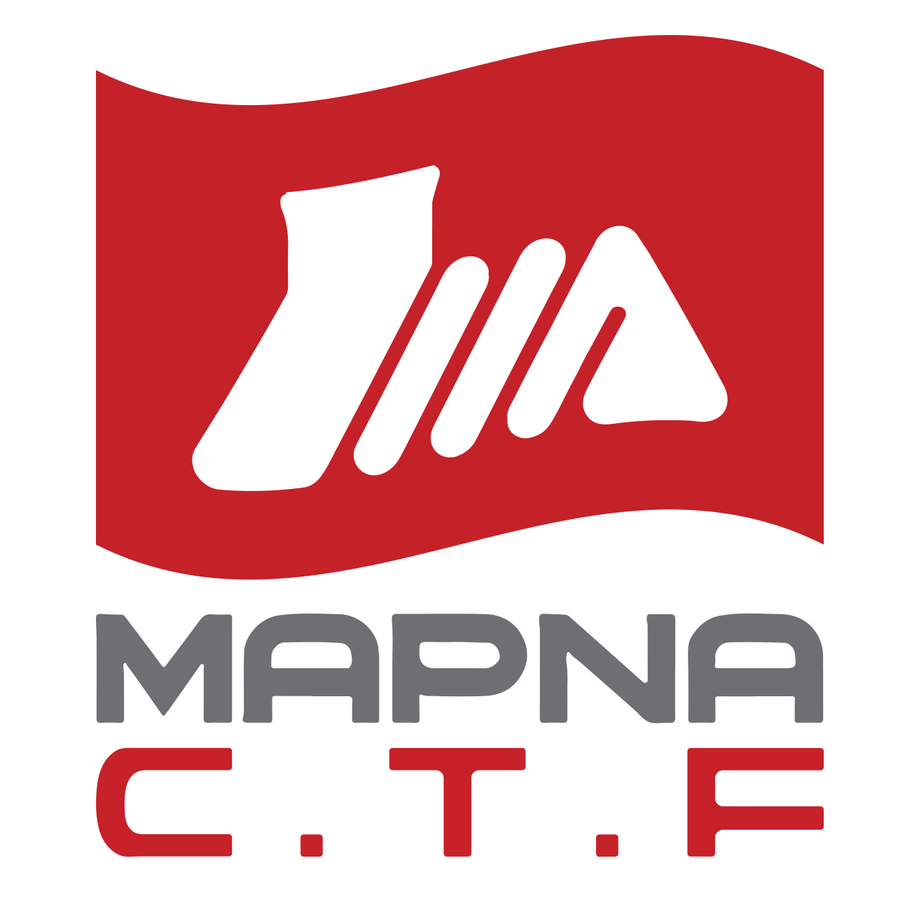 Mapna Ctf 2024 Pwn Writeup · Rtosi 2469